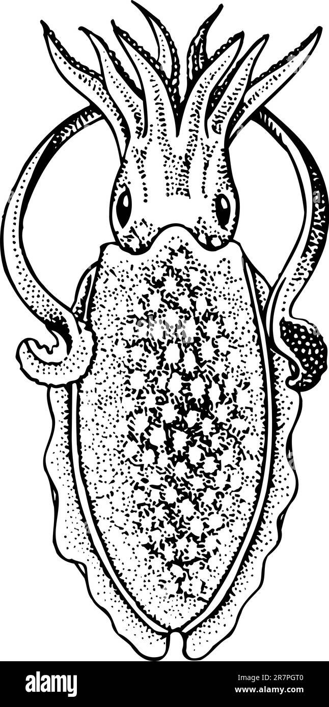 Fascination interest Stock Vector Images - Alamy