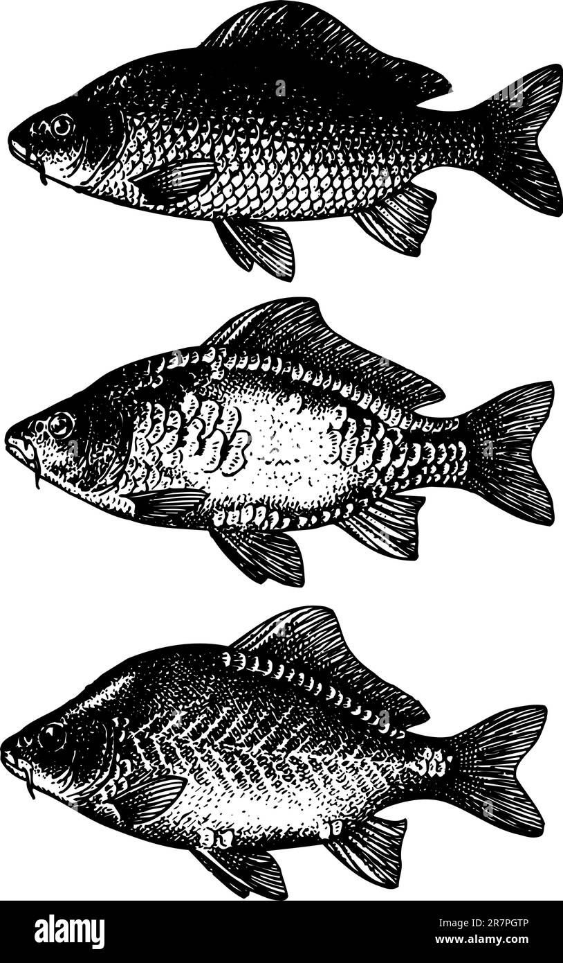 Color rich artwork Black and White Stock Photos & Images - Alamy