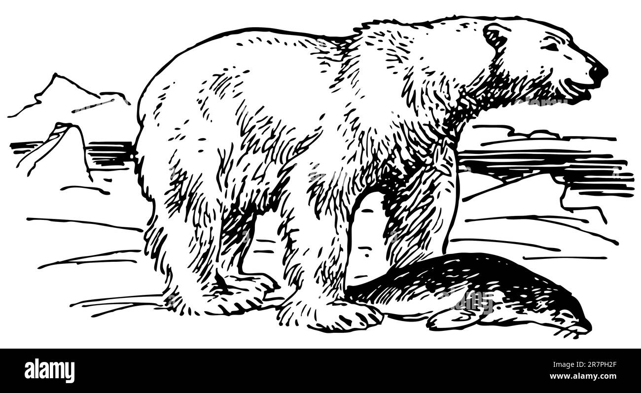 Arctic Clipart Black And White