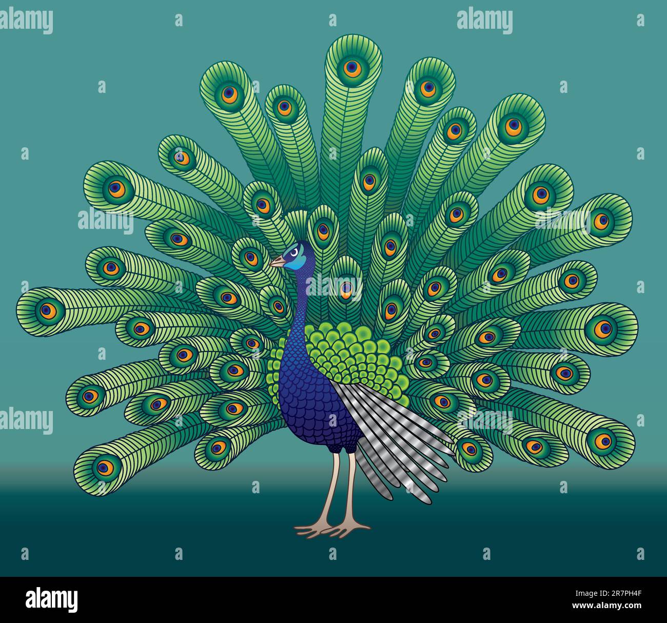 Human and peacock Stock Vector Images - Alamy