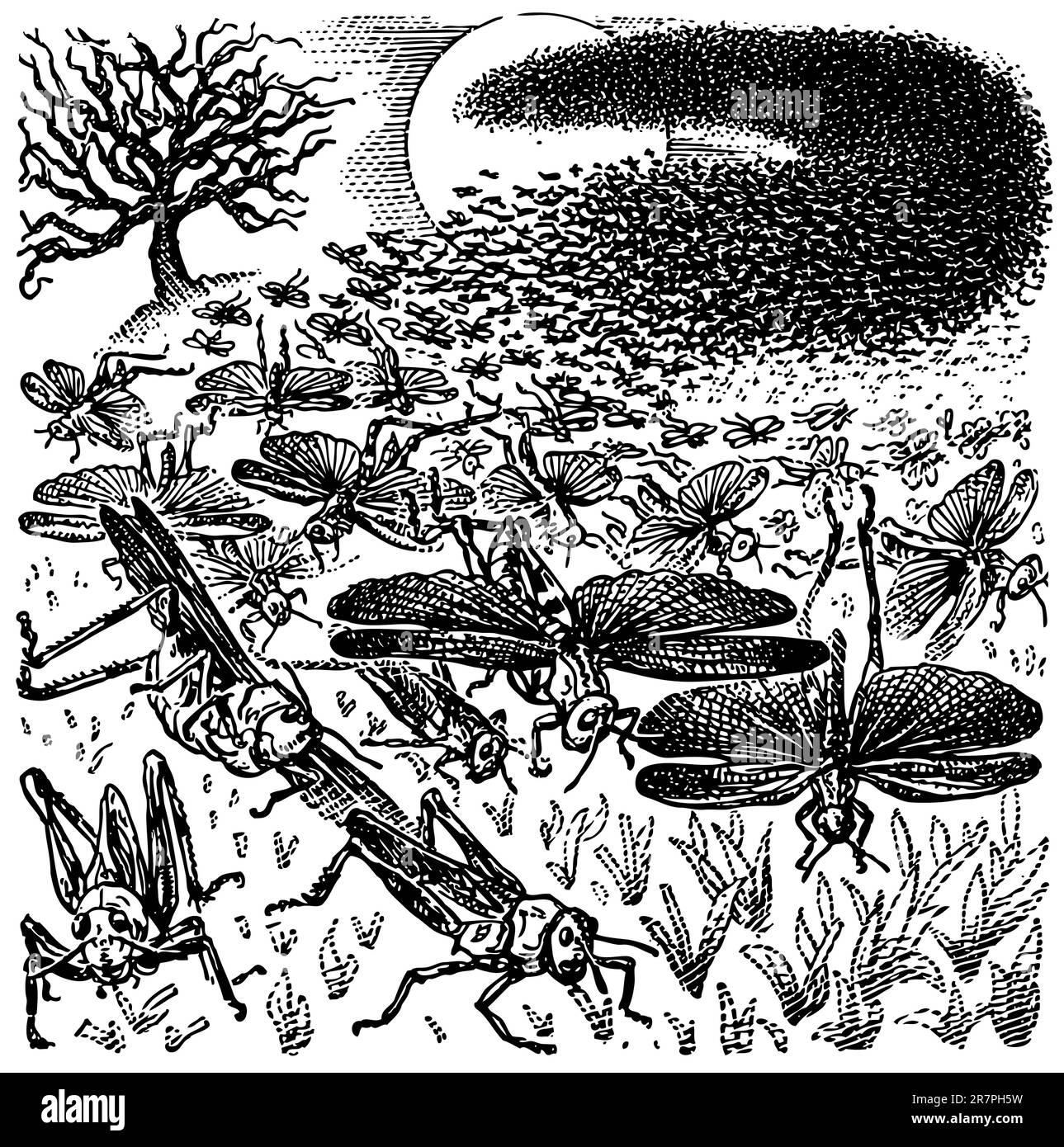 Individual creature Stock Vector Images - Alamy