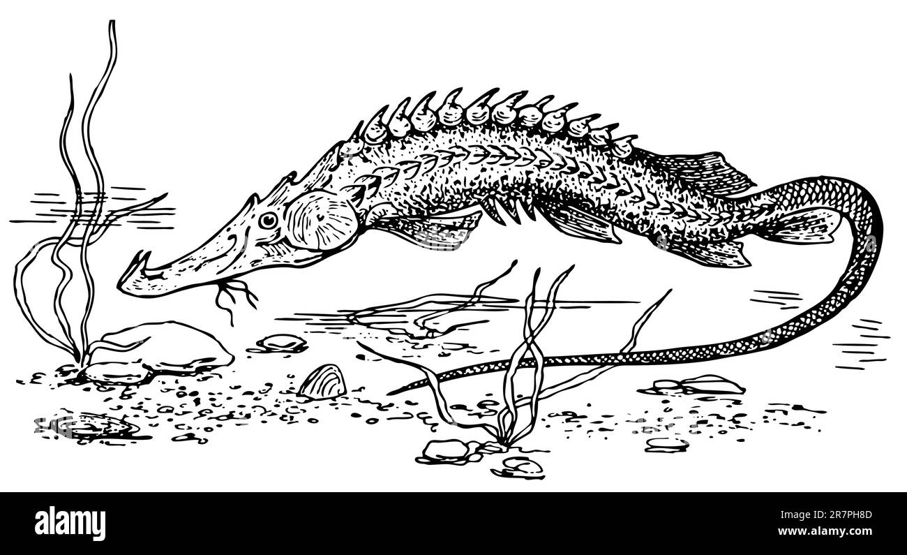 Bottom of image Black and White Stock Photos & Images - Alamy