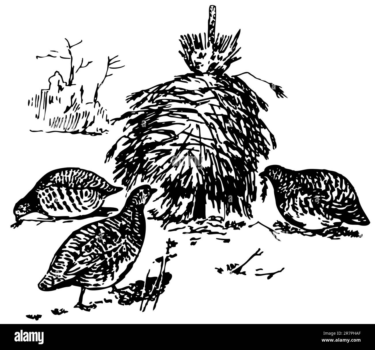 Animal food for winter hi-res stock photography and images - Alamy