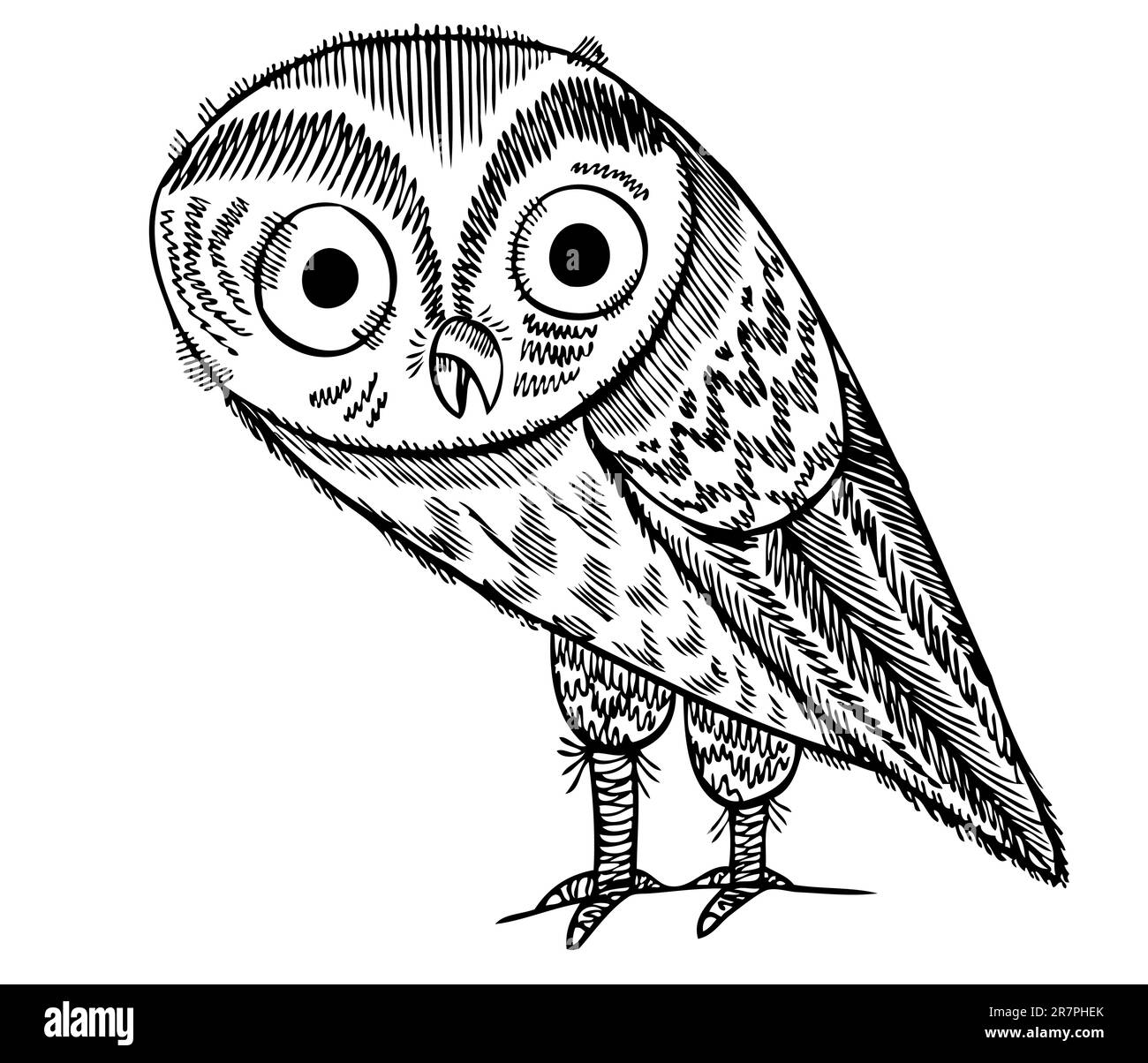 Abstract Owl isolated on white Stock Vector Image & Art - Alamy