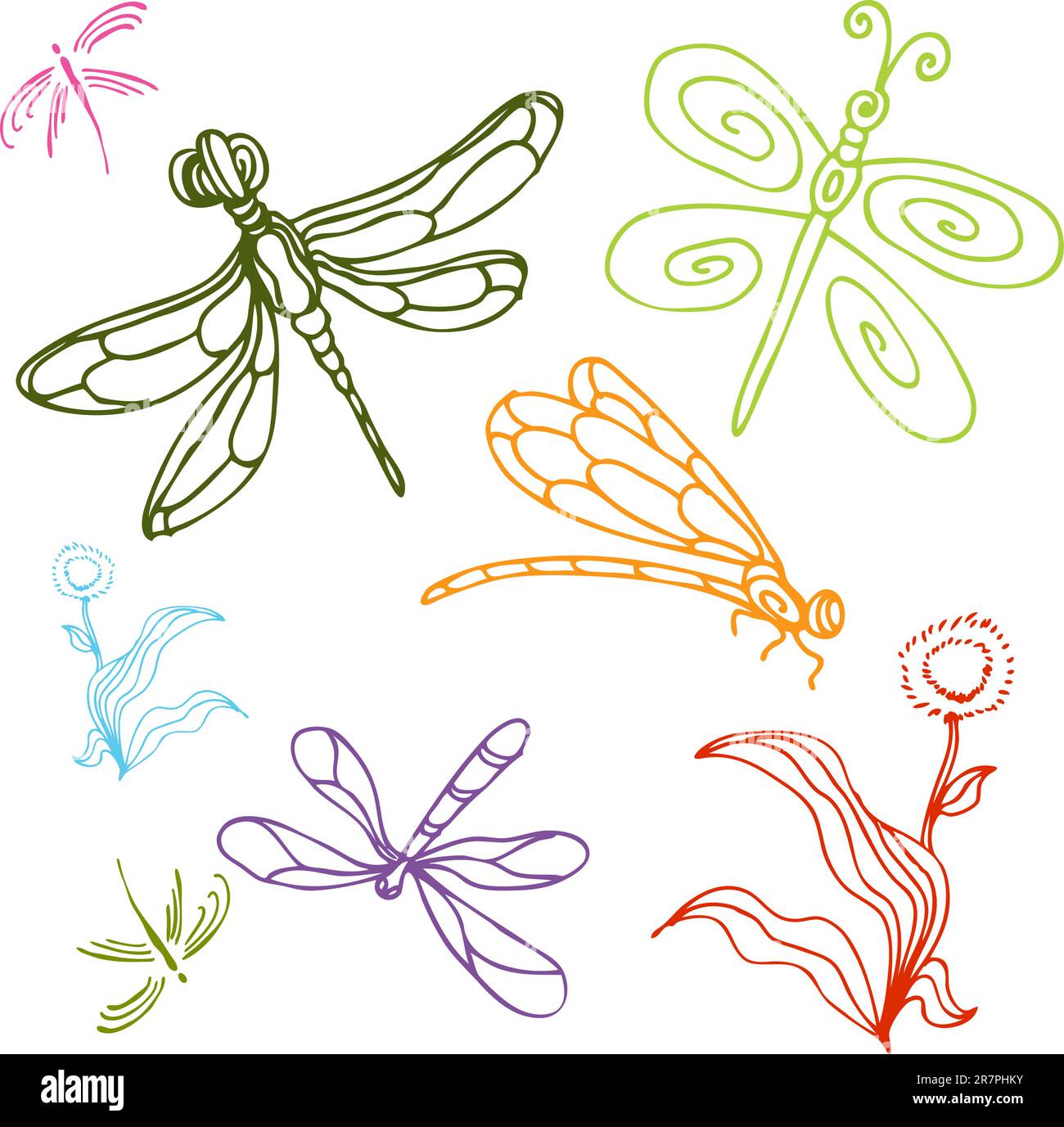 Pretty Dragonfly Drawing