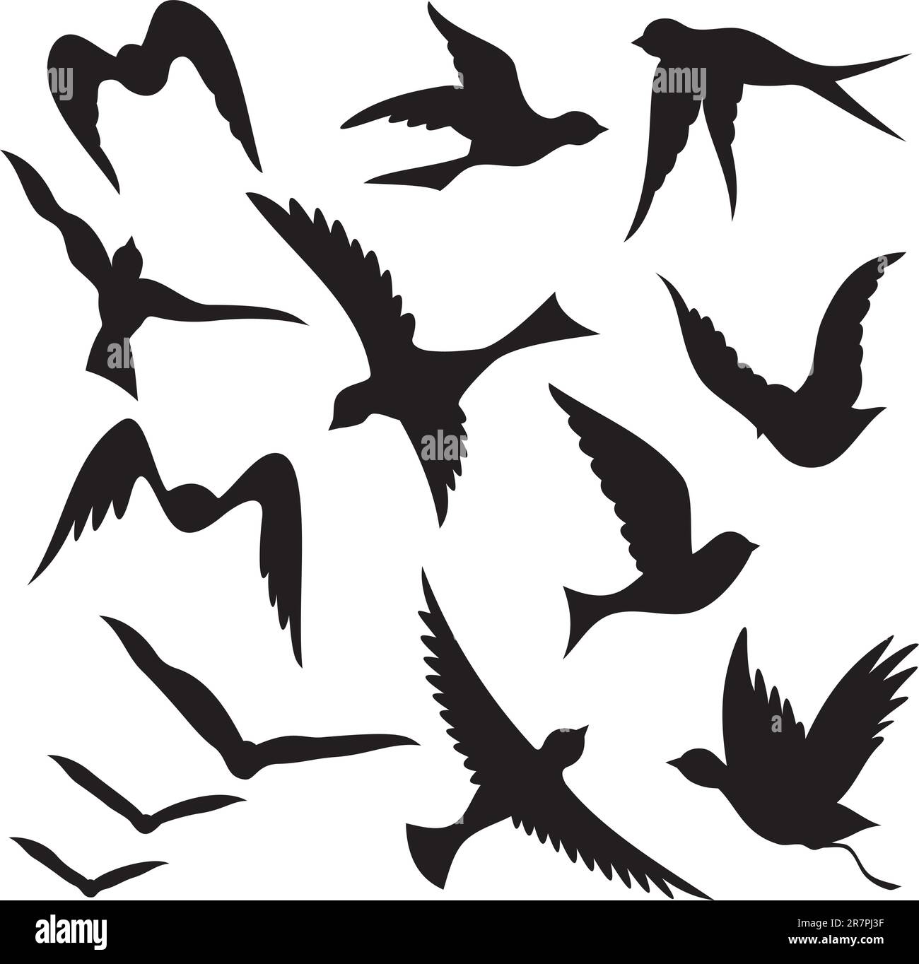 A set of flying birds silhouettes isolated on white background Stock ...