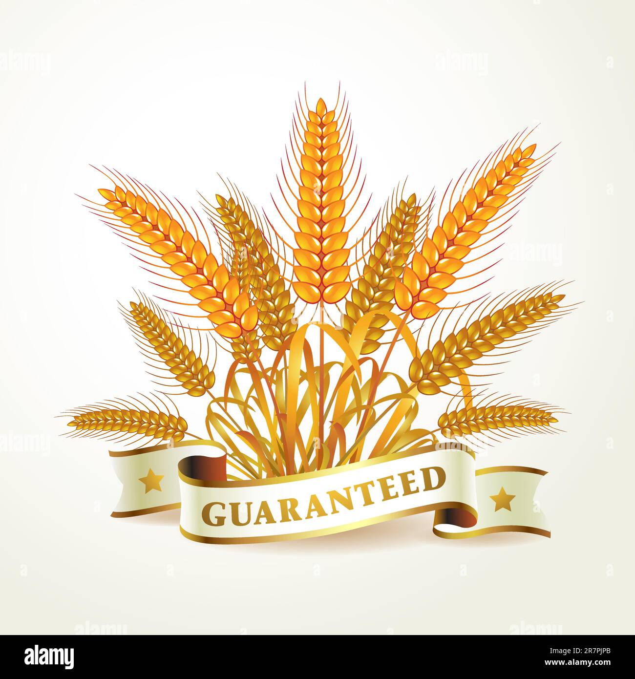 Wheat ears with ribbon Stock Vector Image & Art - Alamy