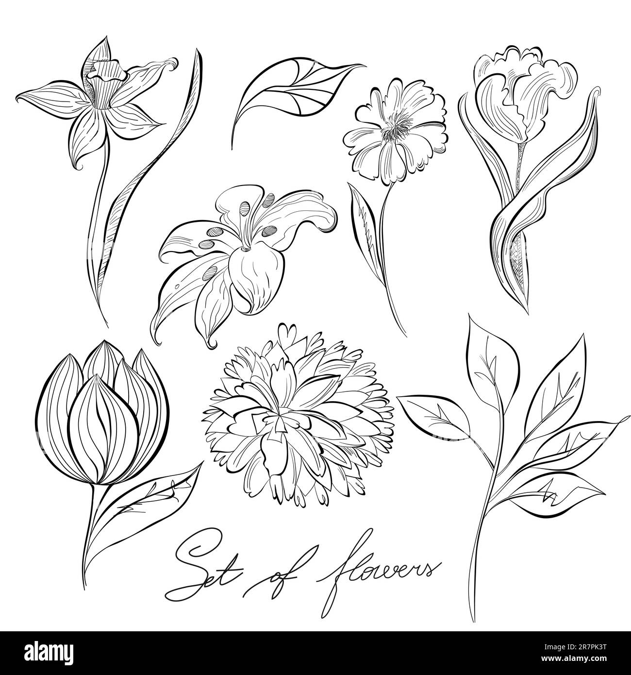 Sketch of flowers Stock Vector Image & Art - Alamy