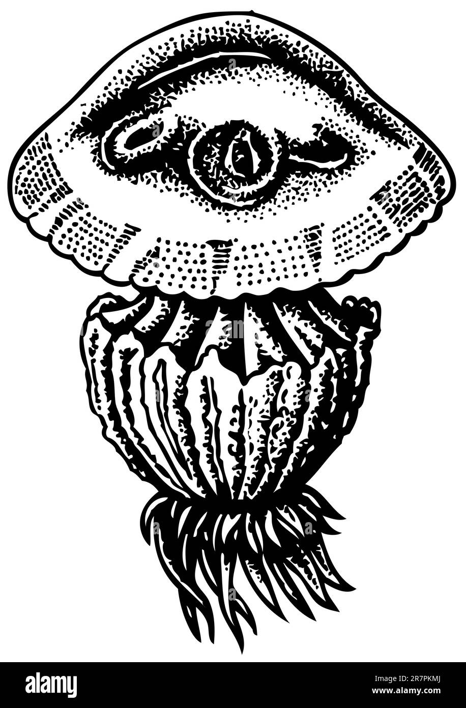 Pink purple jellyfish Cut Out Stock Images & Pictures - Alamy