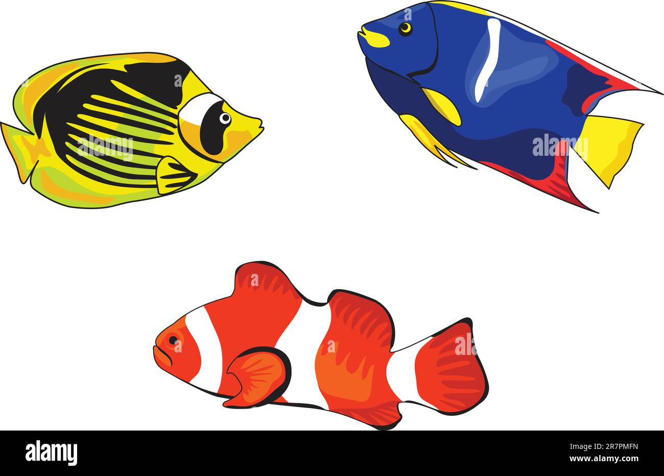 Tropical fish illustrations on white background Stock Vector Image ...