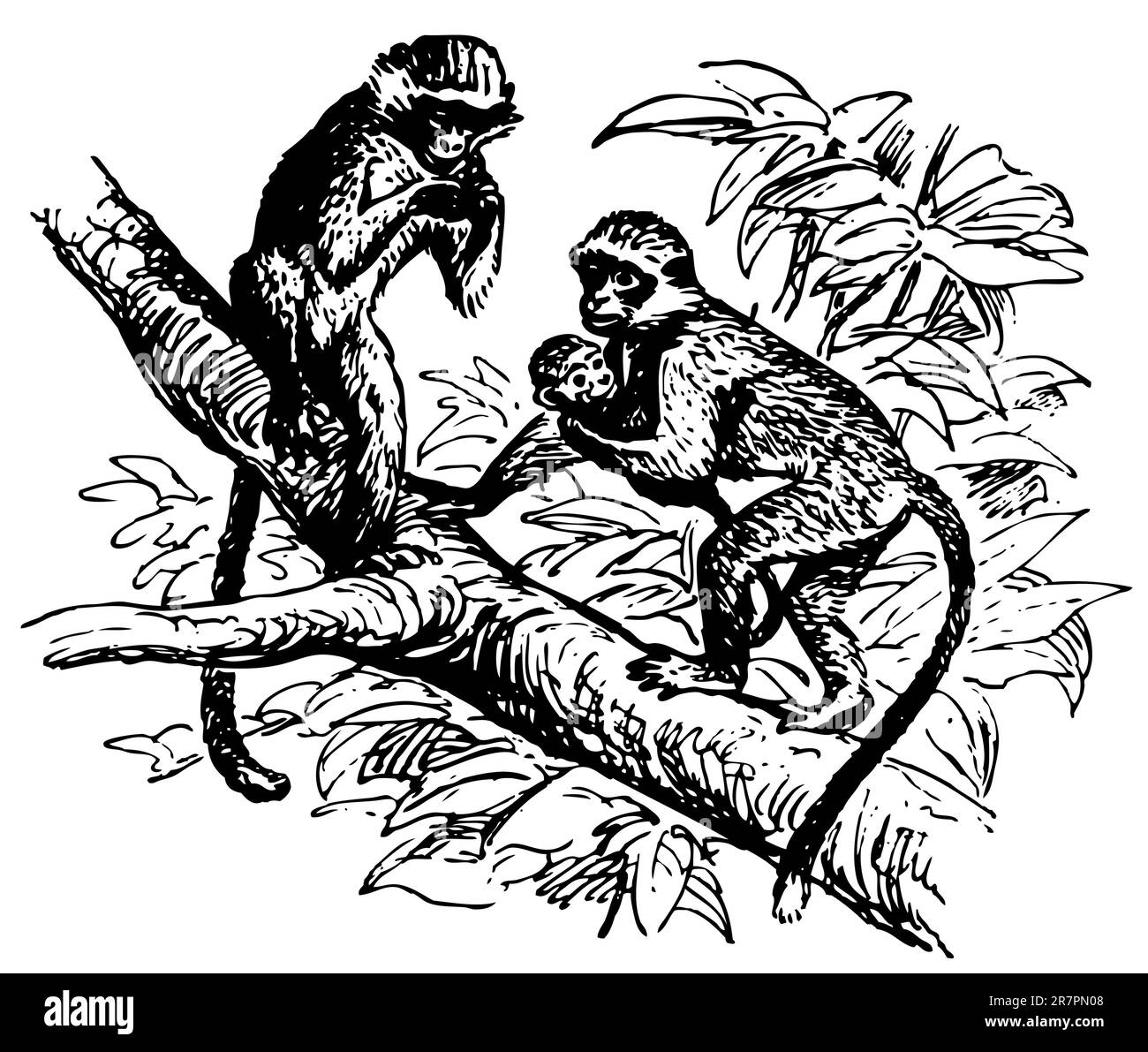 Side gaze Stock Vector Images - Alamy