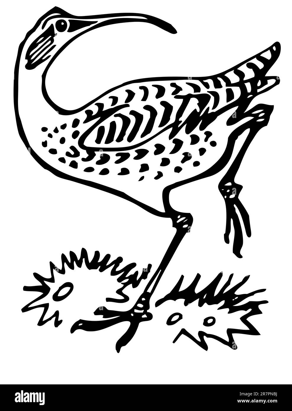 Gentle grass Stock Vector Images - Alamy