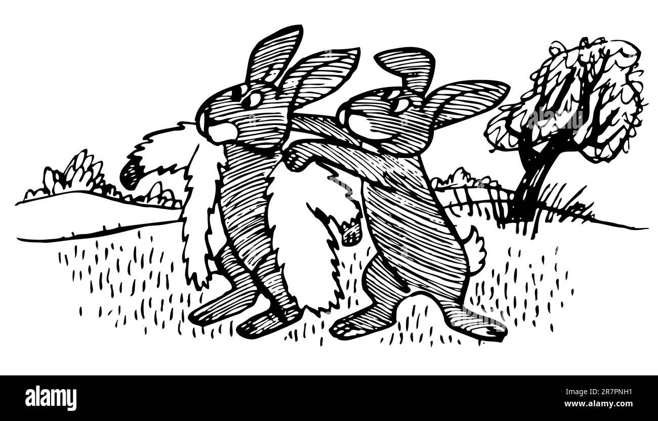 Rabbit winter animal Cut Out Stock Images & Pictures - Alamy