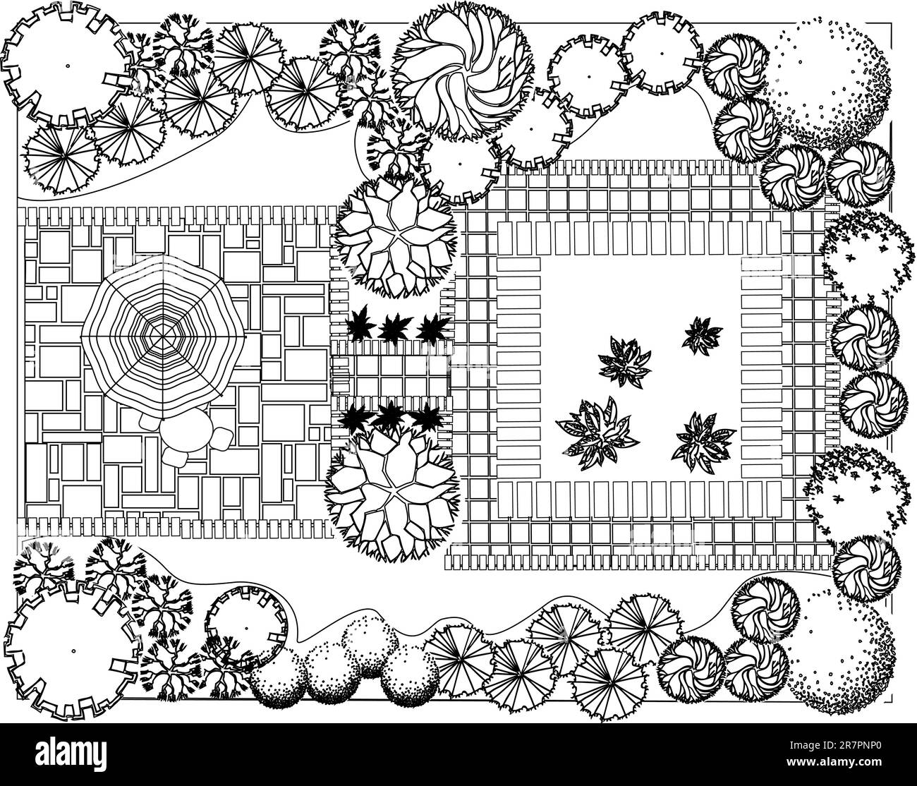 Plan of garden decorative plants black and white Stock Vector Image ...