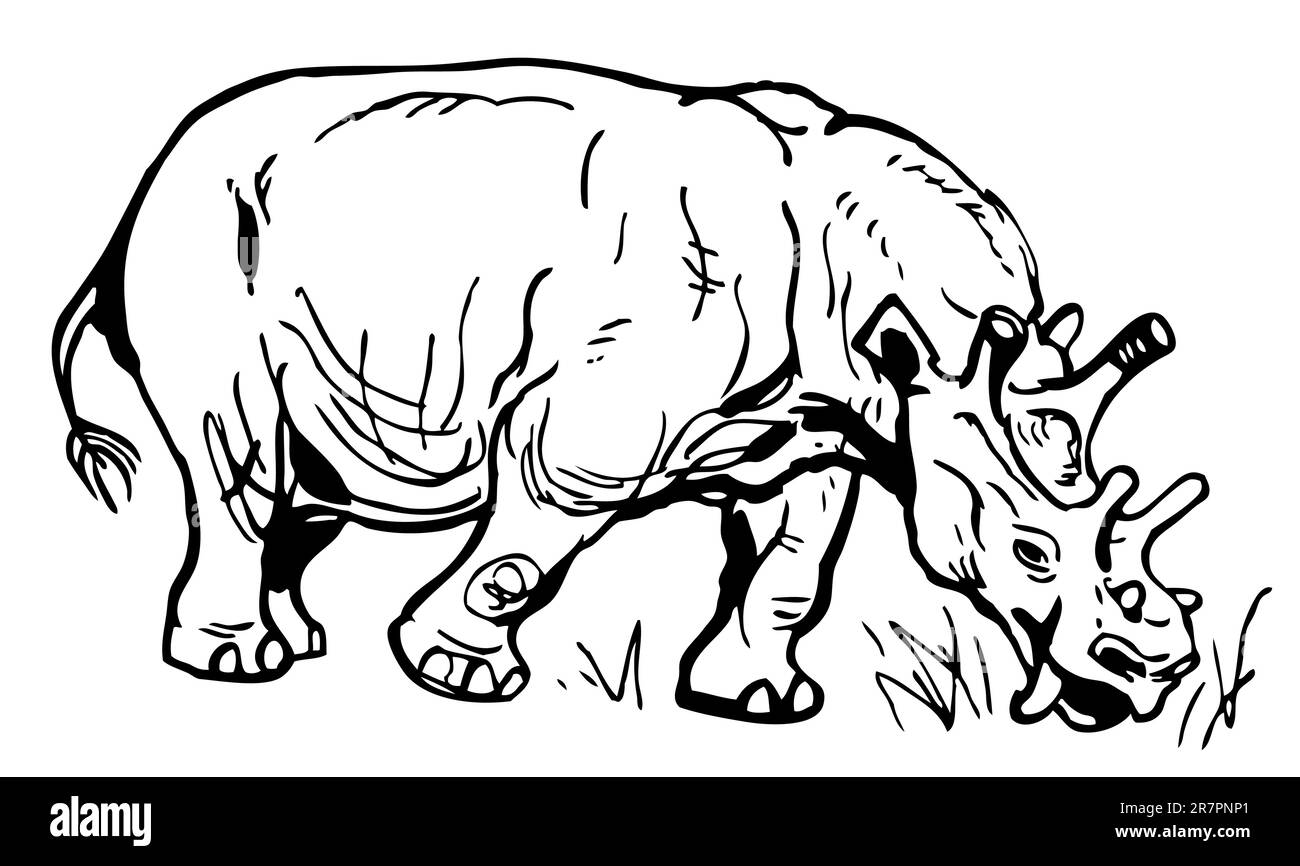 Wild animal outline Black and White Stock Photos & Images - Alamy