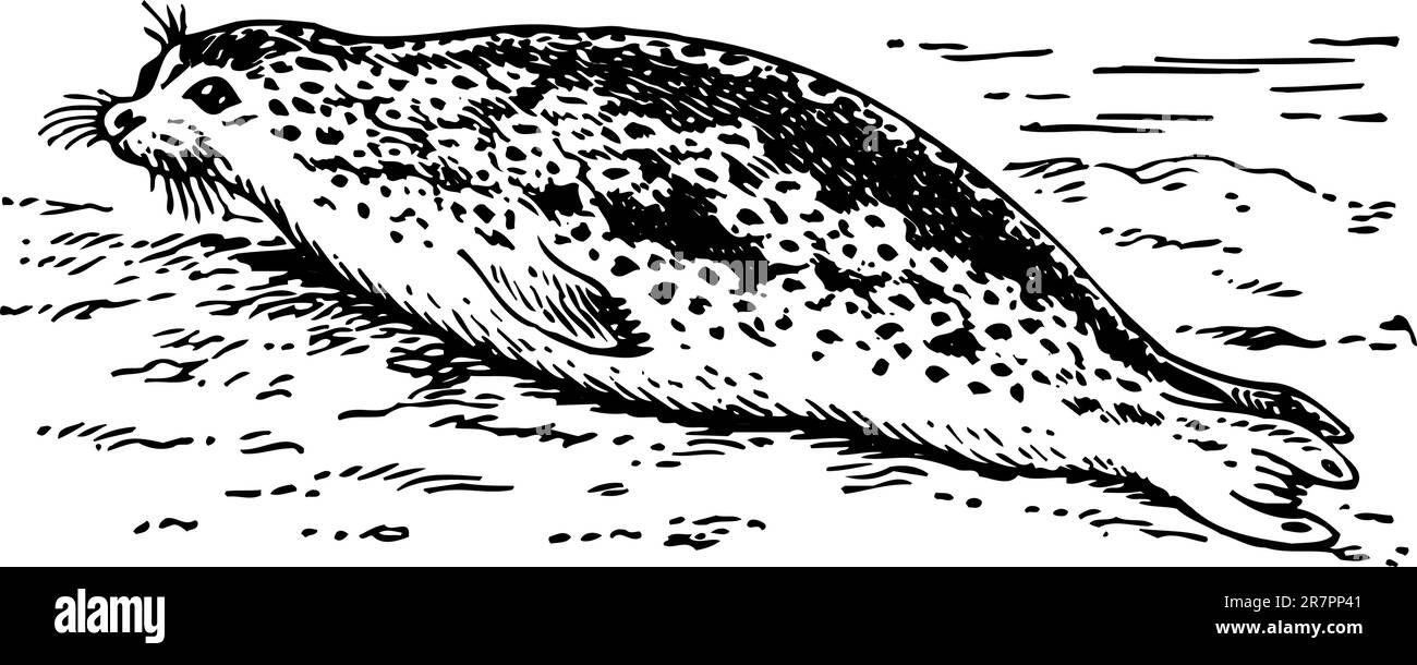 Elephant in the water Cut Out Stock Images & Pictures - Alamy