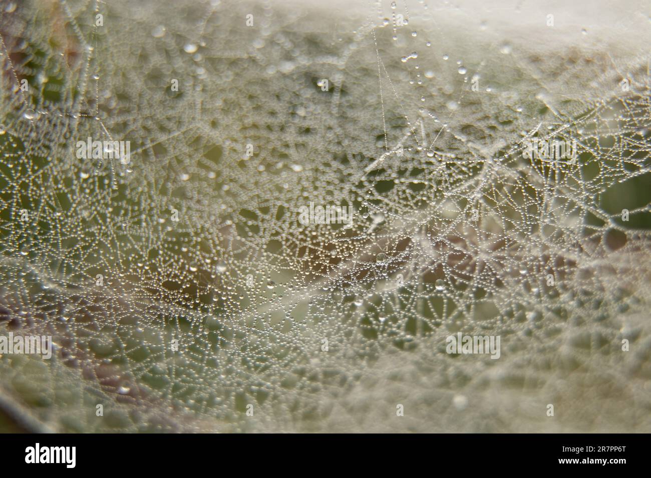 Fog drop hi-res stock photography and images - Alamy