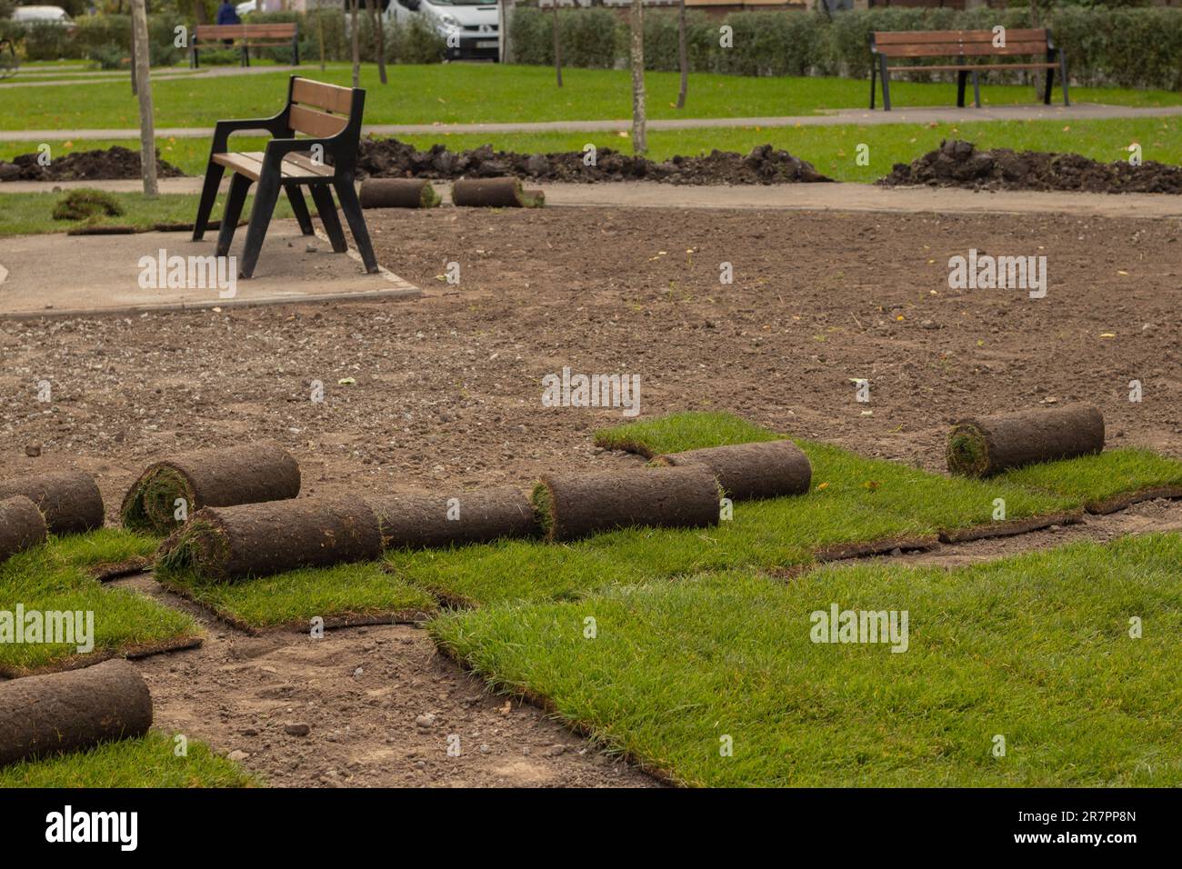 laying new green grass in the park, landscaping the park Stock Photo ...
