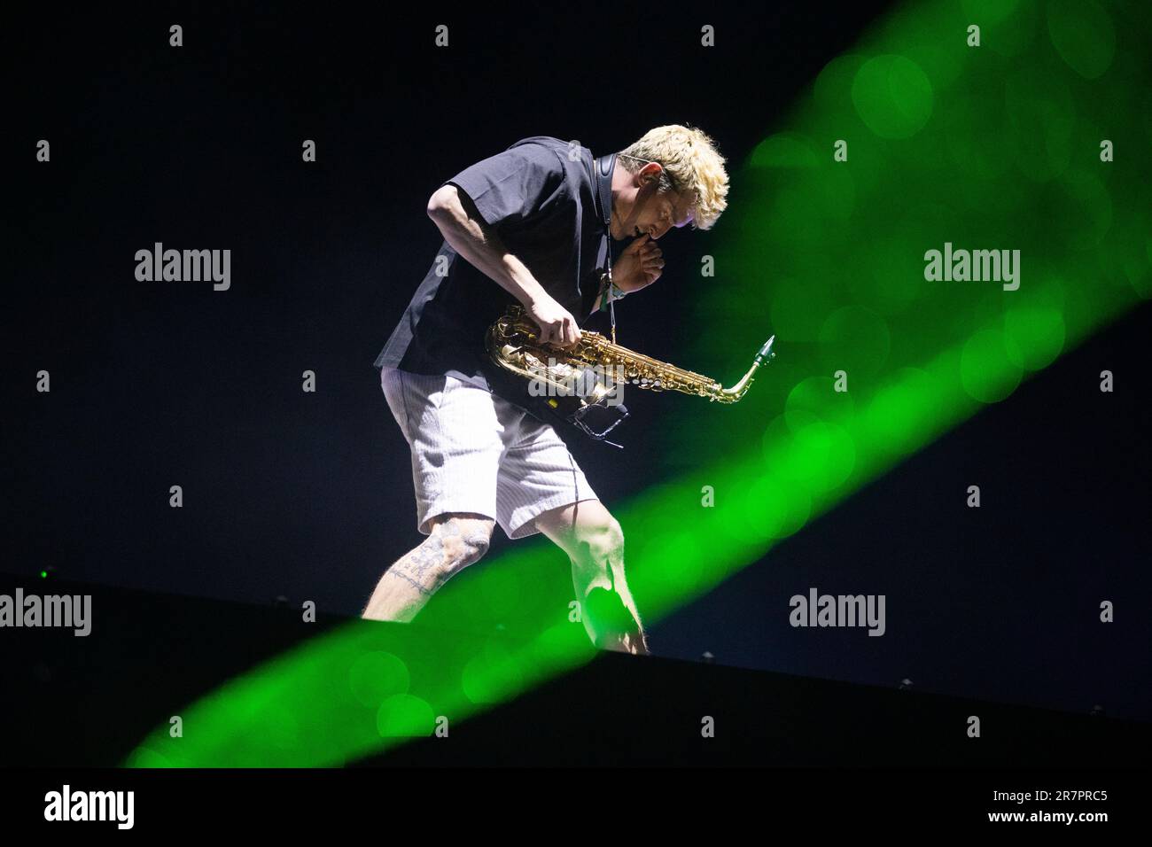 Griz photo hi-res stock photography and images - Alamy