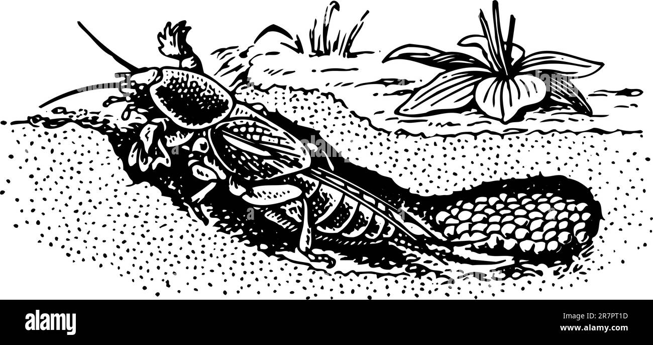 Ground up Stock Vector Images - Alamy