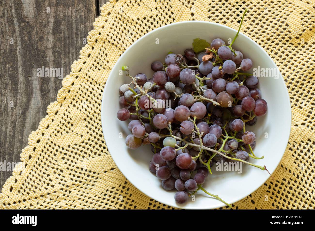 Fresh grapes in plate hi-res stock photography and images - Alamy