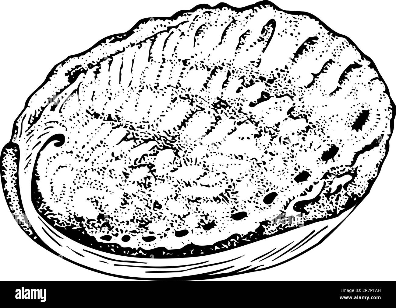 Seashell isolated Stock Vector Images - Alamy