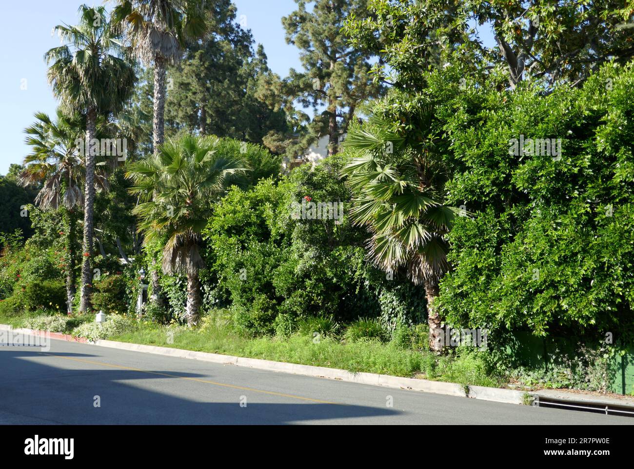 Beverly Hills, California, USA 16th June 2023 Victoria Valentine Former ...