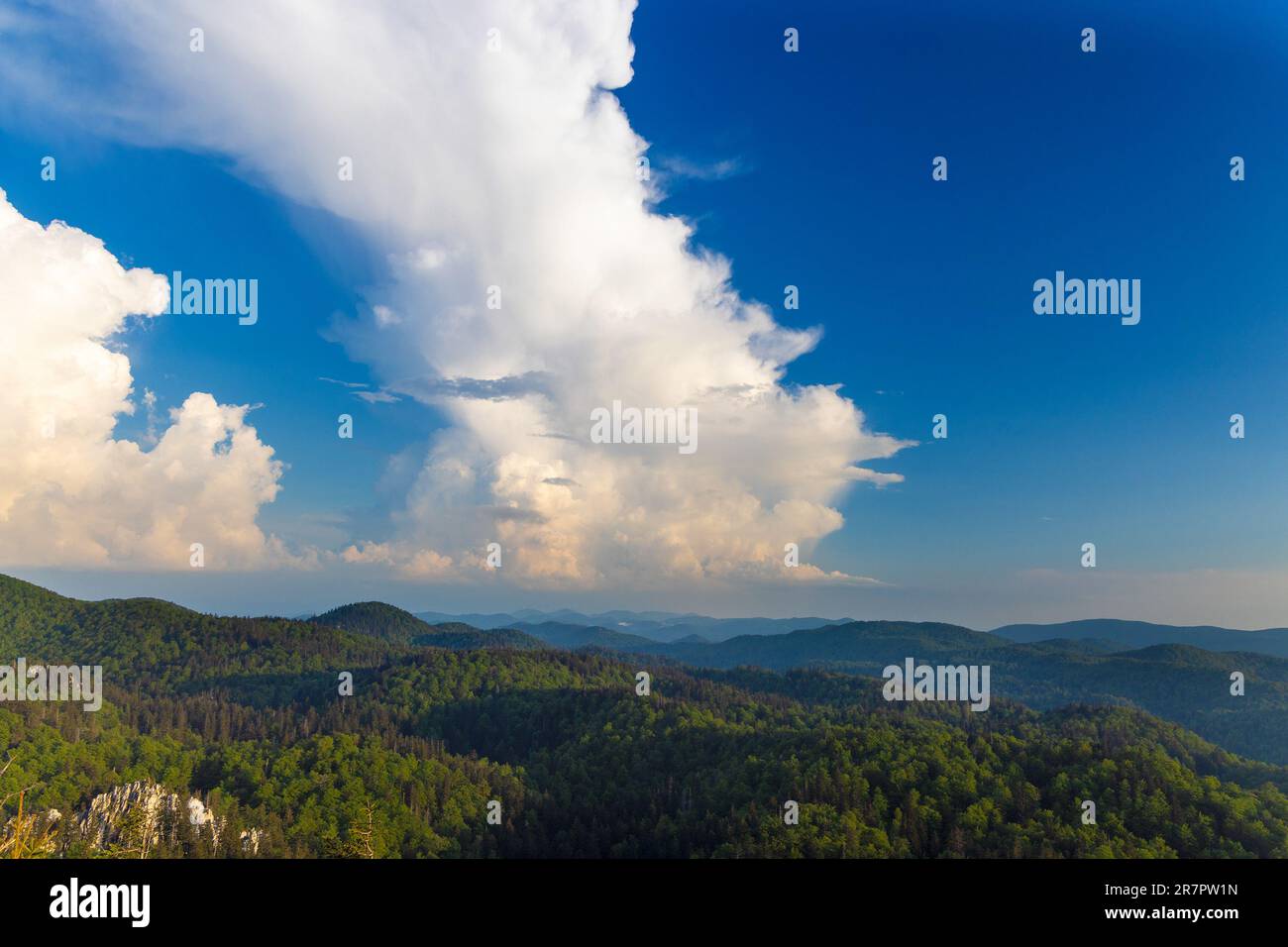 Large clouds above the forested mountains, Bijele stijene reserve in ...