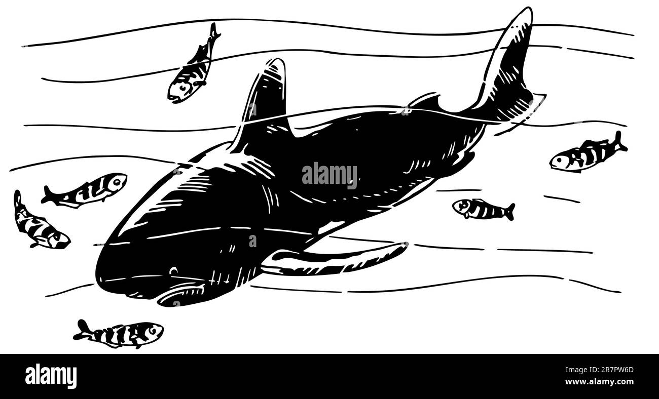 Sea animal in underwater Stock Vector Images - Alamy