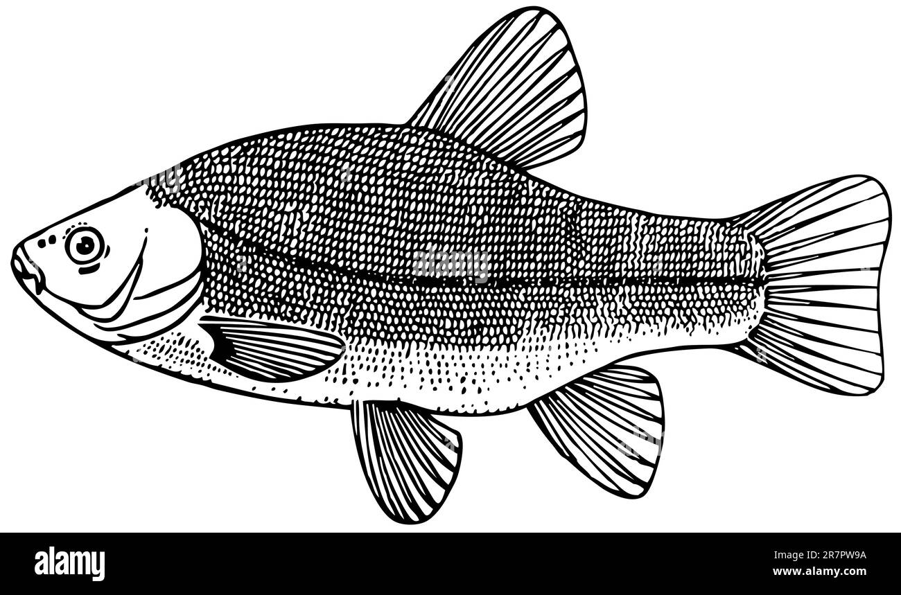 Doctor on computer Stock Vector Images - Alamy