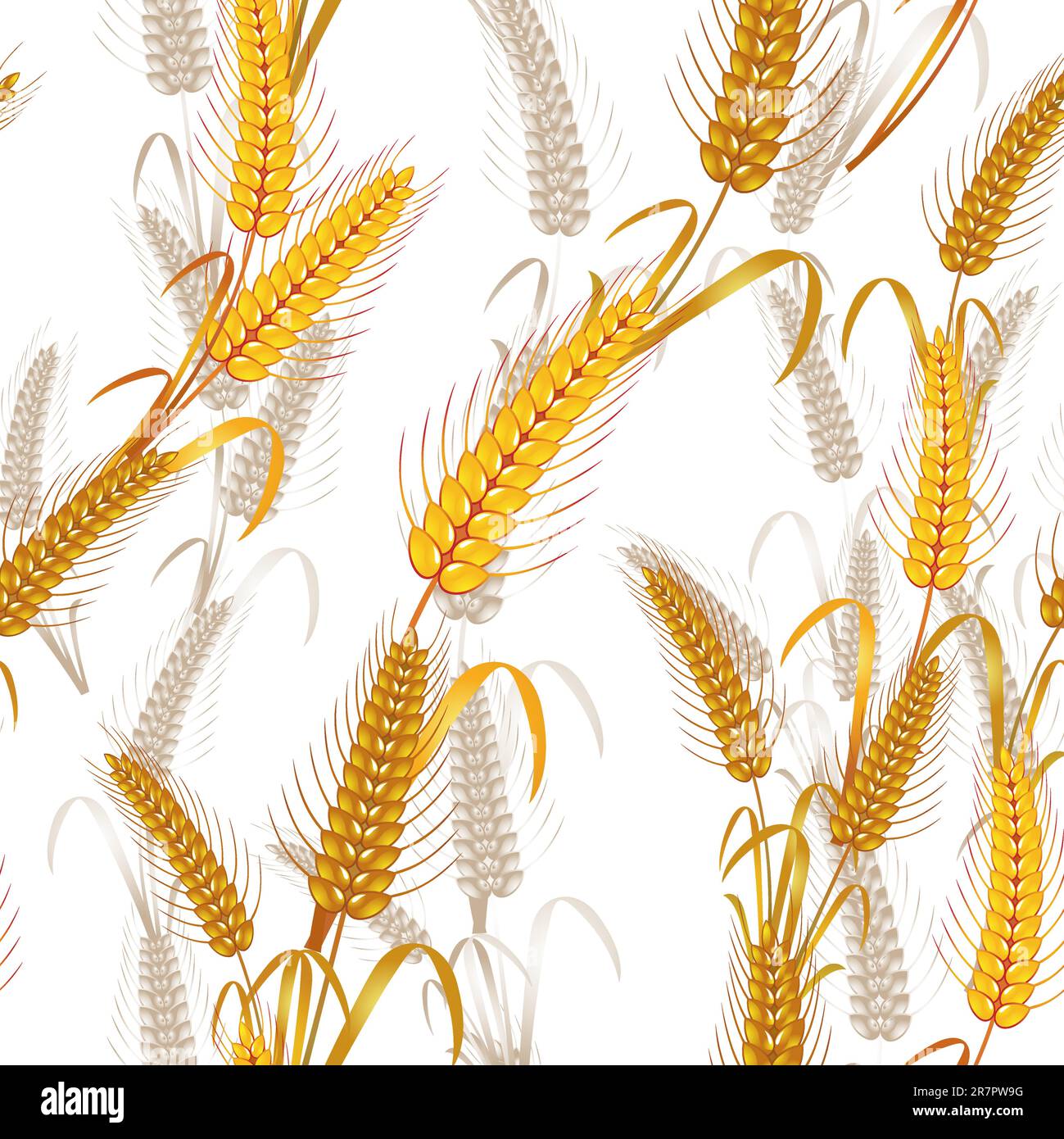 Close up wheat ears field Stock Vector Images - Alamy