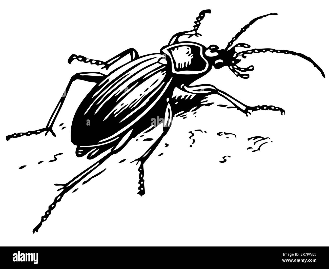 Ground up Stock Vector Images - Alamy