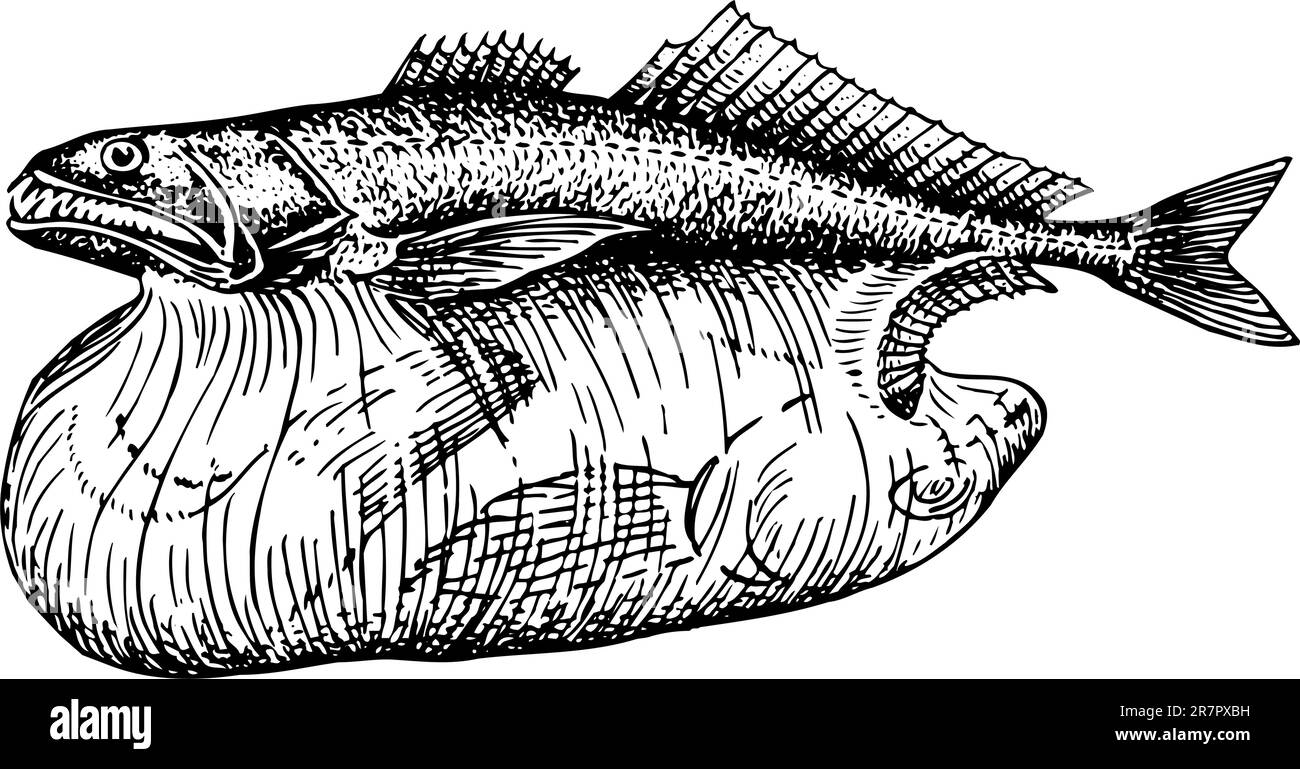 Chiasmodon hi-res stock photography and images - Alamy