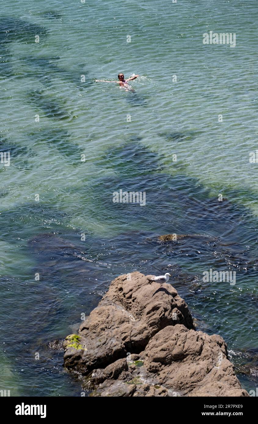 A lone swimmer in the clear water at Dollar Cove on the south coast of ...