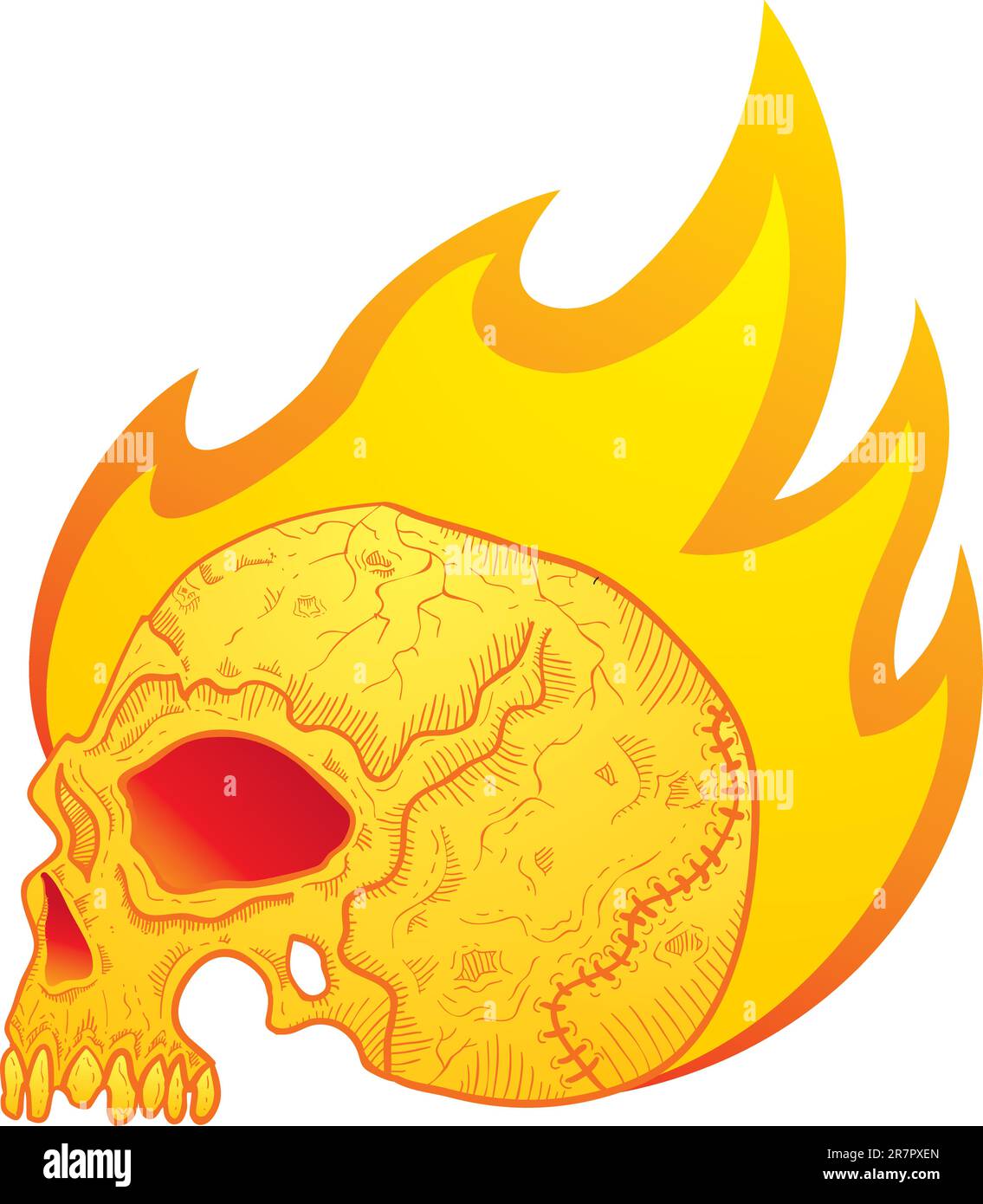 Image human skull in Cut Out Stock Images & Pictures - Alamy