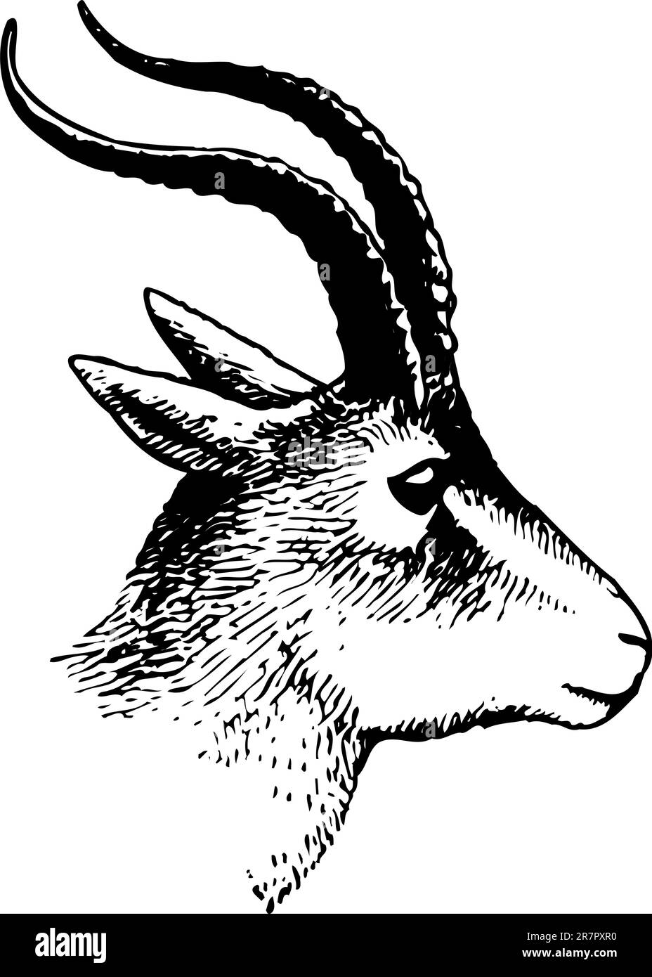 Goats face Stock Vector Images - Alamy