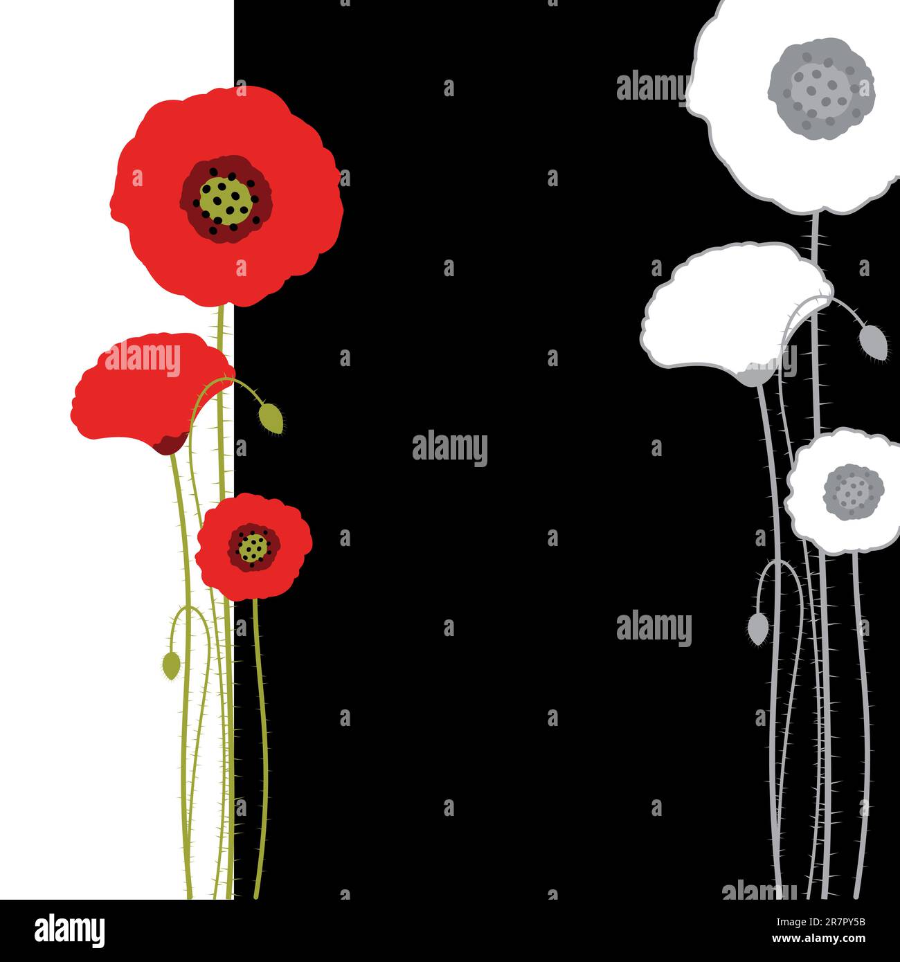 Abstract red poppy on black and white background Stock Vector Image ...