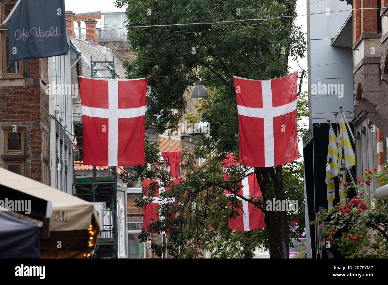 Danish flags hanging across a lane in Odense, Funen, Denmark Stock ...