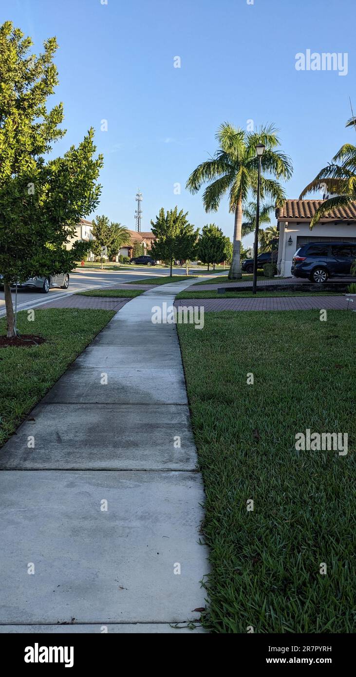 A vertical of a pavement of a green street with cars parked at the ...