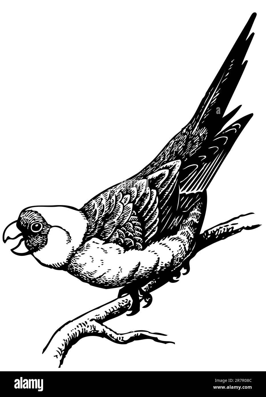 Tree education drawing on Stock Vector Images - Alamy