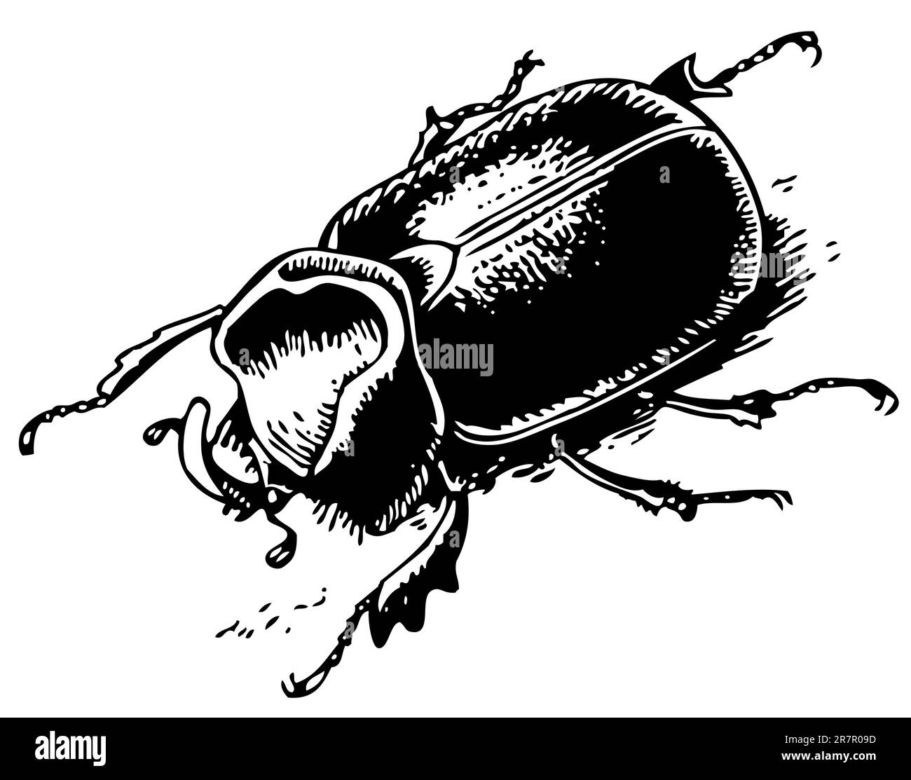 Horned beetle Stock Vector Images - Alamy