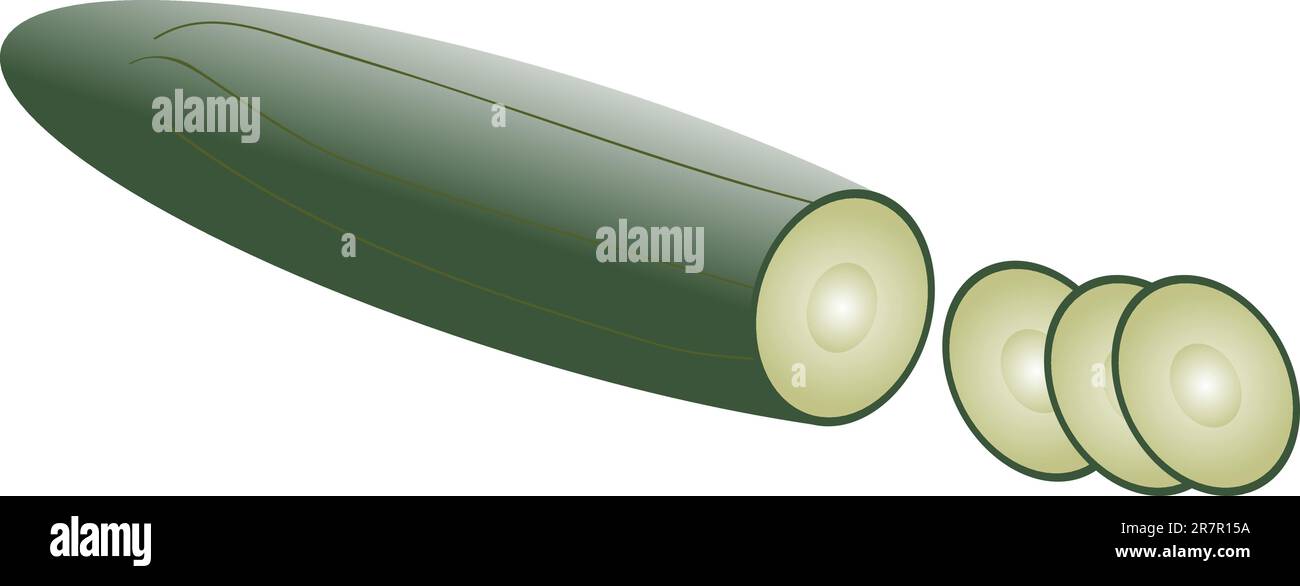 Fresh cucumber - vector Stock Vector Image & Art - Alamy