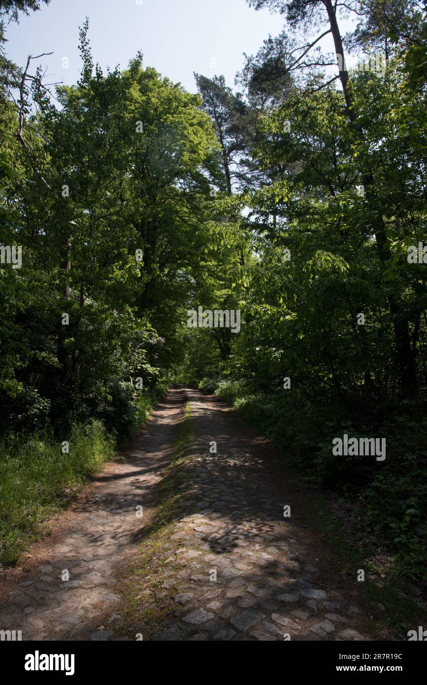 Some single lane country road is connecting tiny village Briesen in ...