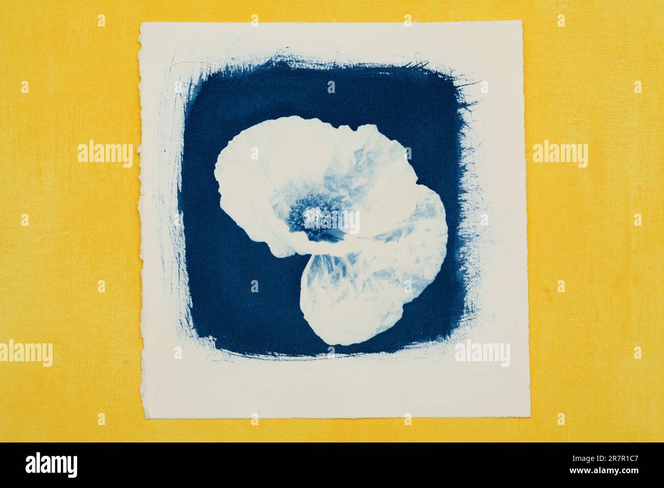 Abstract created using technique hi-res stock photography and images ...