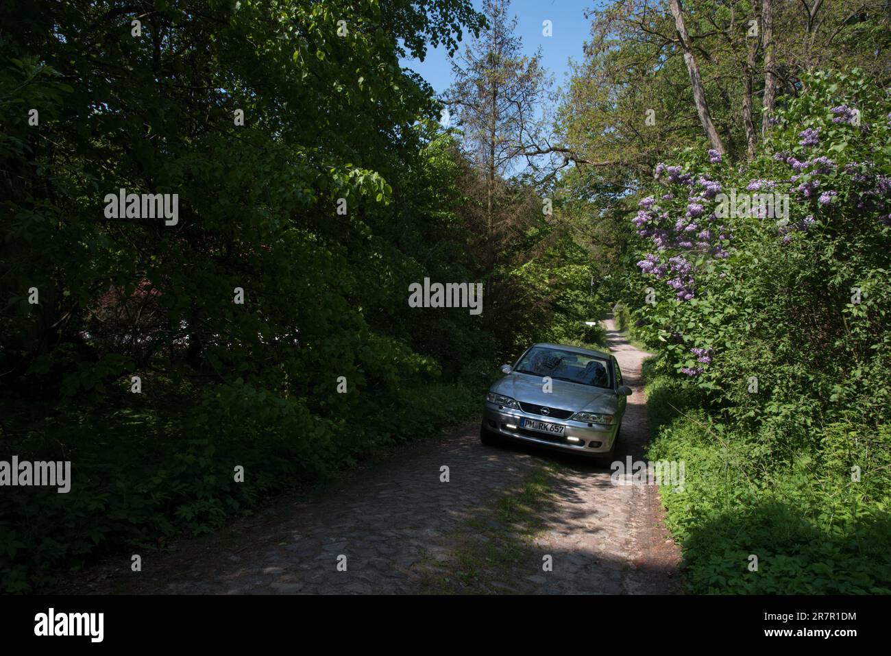 Some single lane country road is connecting tiny village Briesen in ...