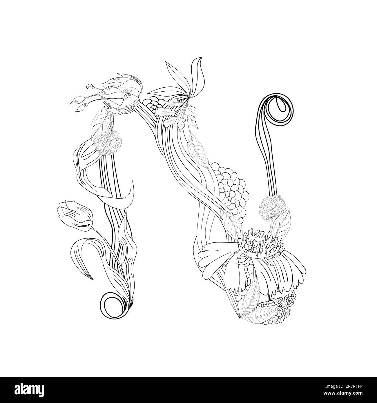 Floral font, Letter N Stock Vector Image & Art - Alamy