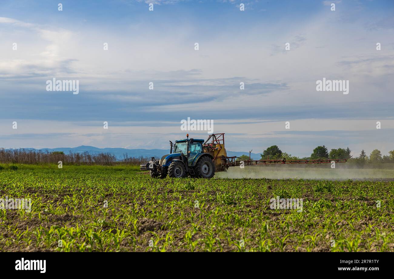 Agricultural tractor spraying field. Tractor fertilize field pesticide ...