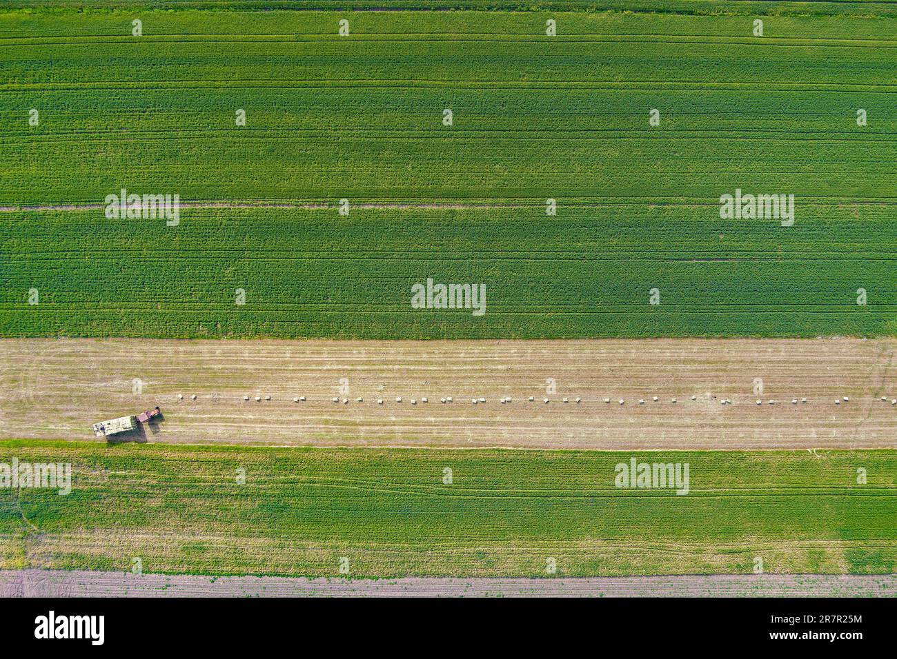 Aerial view of tractor on harvest field, drone shot Stock Photo - Alamy
