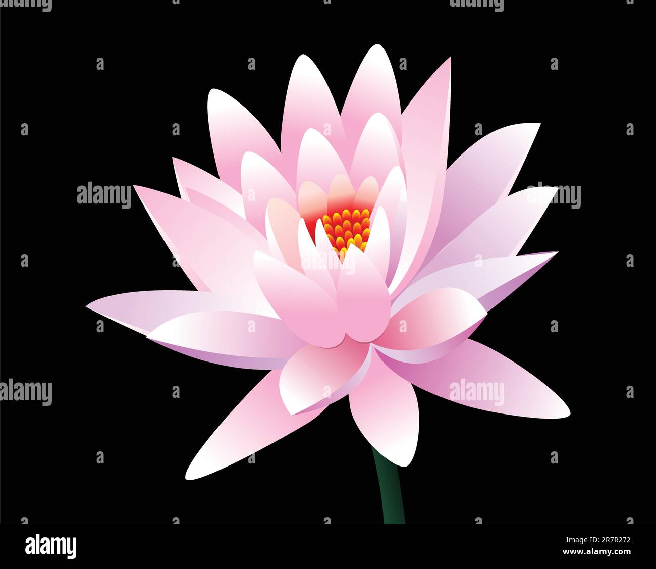 abstract pink lotus flower vector illutration Stock Vector Image & Art ...