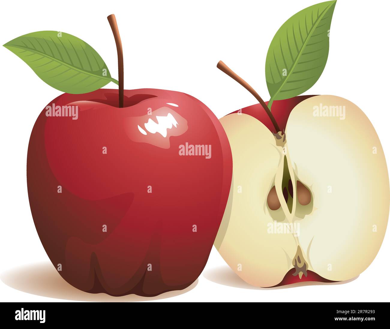 Half fresh ripe red Stock Vector Images - Alamy